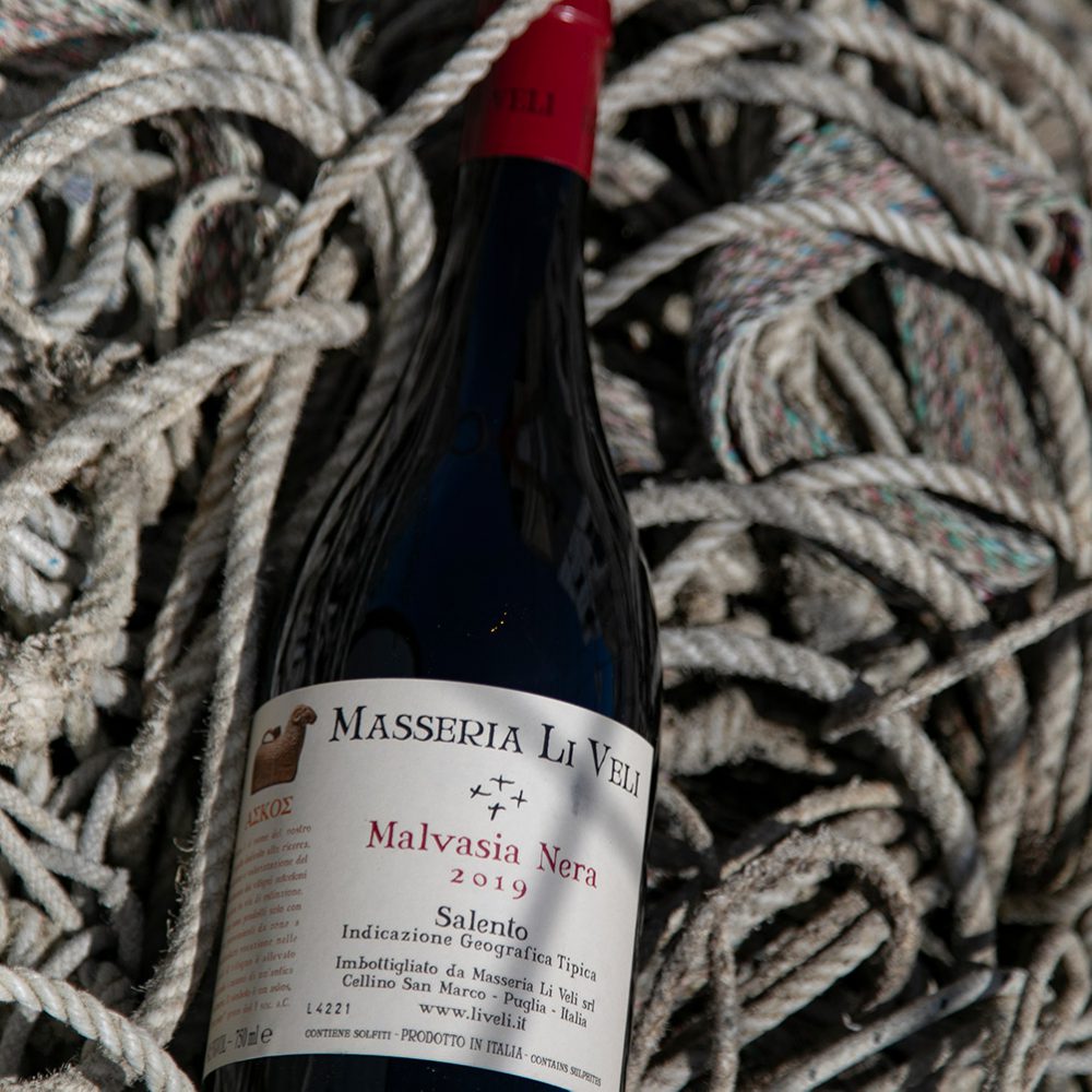 Torremossa Salento IGT Fiano - Masseria Li Veli | Grandi Vini di Puglia